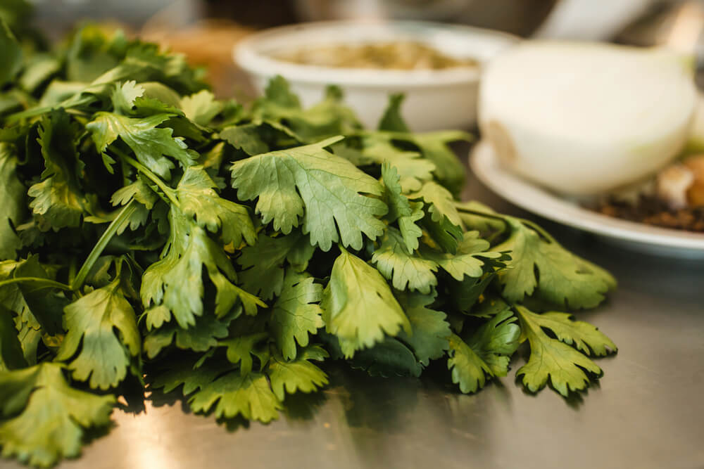 Le persil et ses propriétés médicinales - Améliore ta Santé