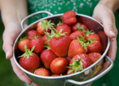 5 recettes revitalisantes avec du céleri - Améliore ta Santé