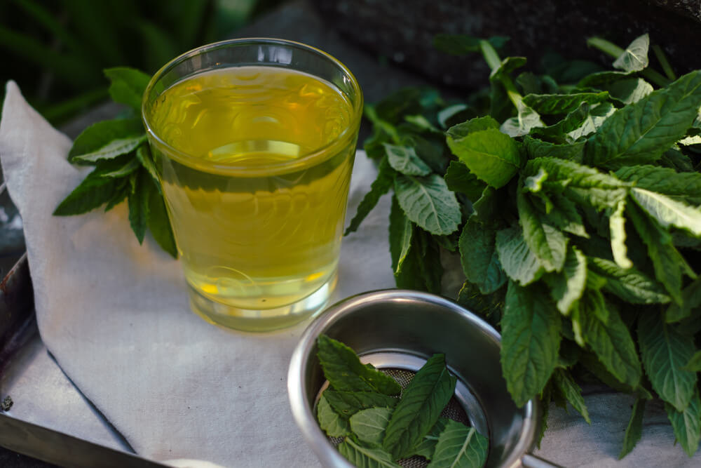 Les 10 incroyables bienfaits du thé vert - Améliore ta Santé