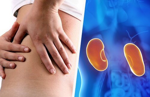 7 signes qui alertent d'une maladie des reins - Améliore ta Santé