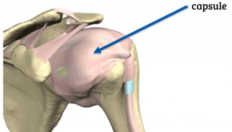 Savez-vous ce qu'est une capsulite ? - Améliore ta Santé
