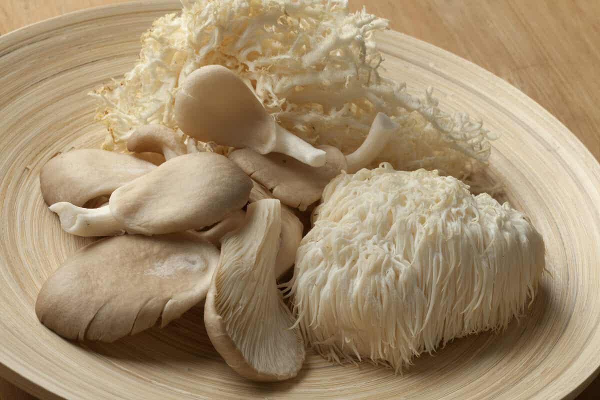 Champignon crinière de lion : bienfaits et effets secondaires ...