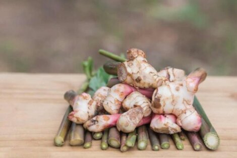 Galanga ou gingembre bleu : usages et considérations - Améliore ta Santé